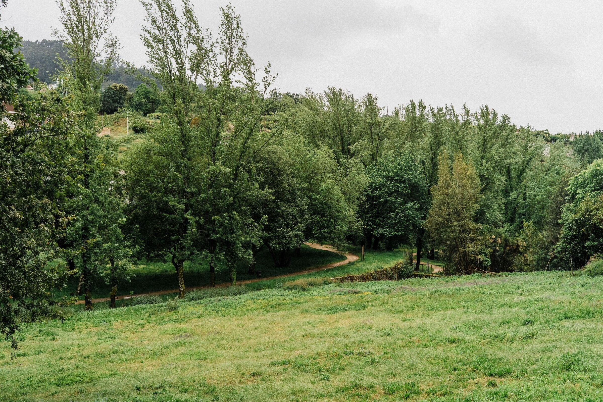 Guimarães transmite a cerimónia de abertura Capital Verde Europeia ...